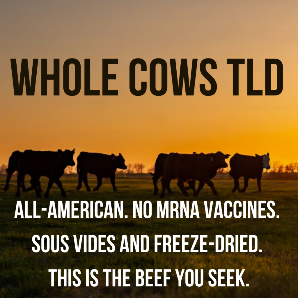 Welcome to Daily Clout! What’s our story?