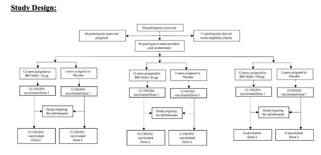 Report 03: Phase 1 /2 Study of COVID-19 RNA Vaccine BNT162b1 in Adults ...