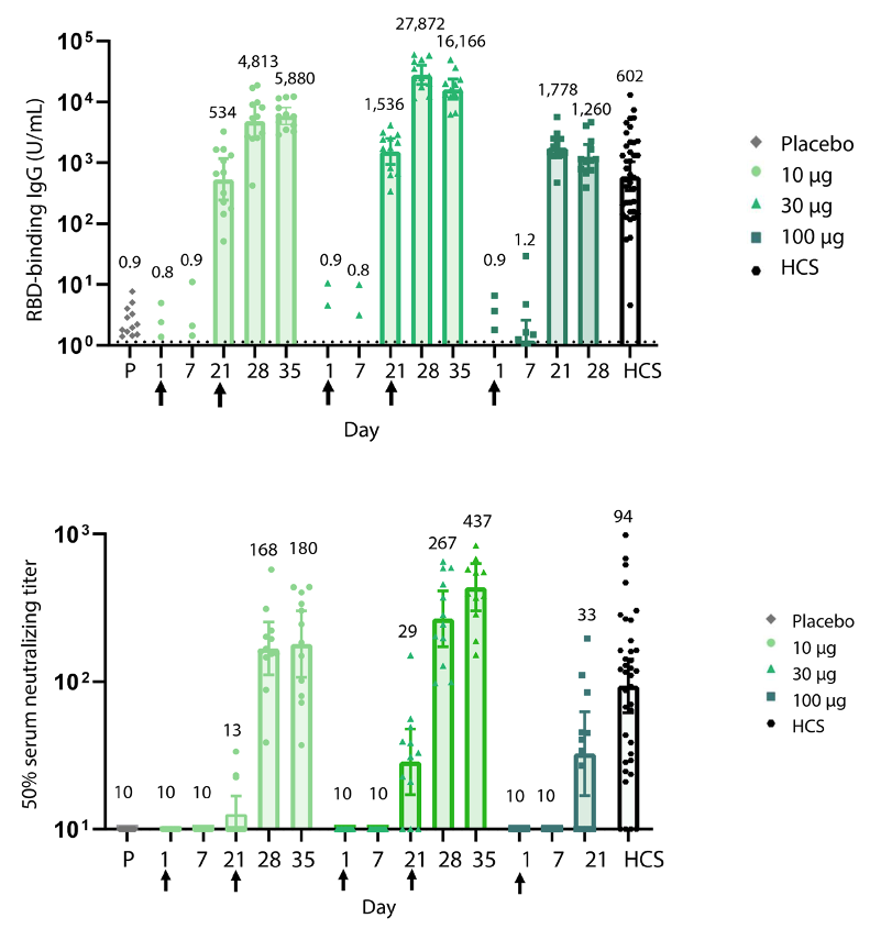 Report 03: Phase 1 /2 Study of COVID-19 RNA Vaccine BNT162b1 in Adults ...